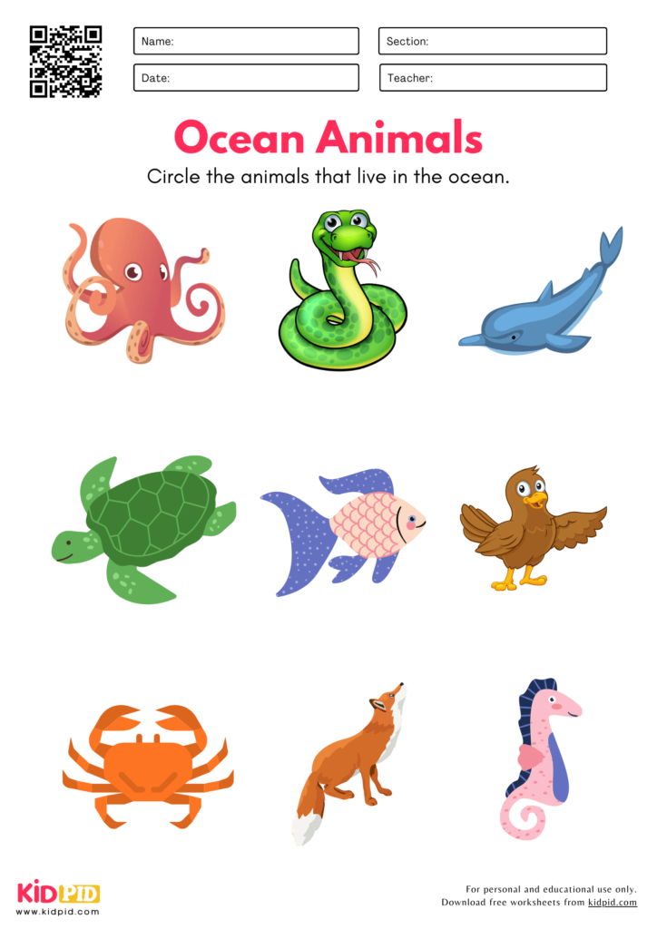 Identify Ocean Forest & Farm Animal Worksheet - Kidpid