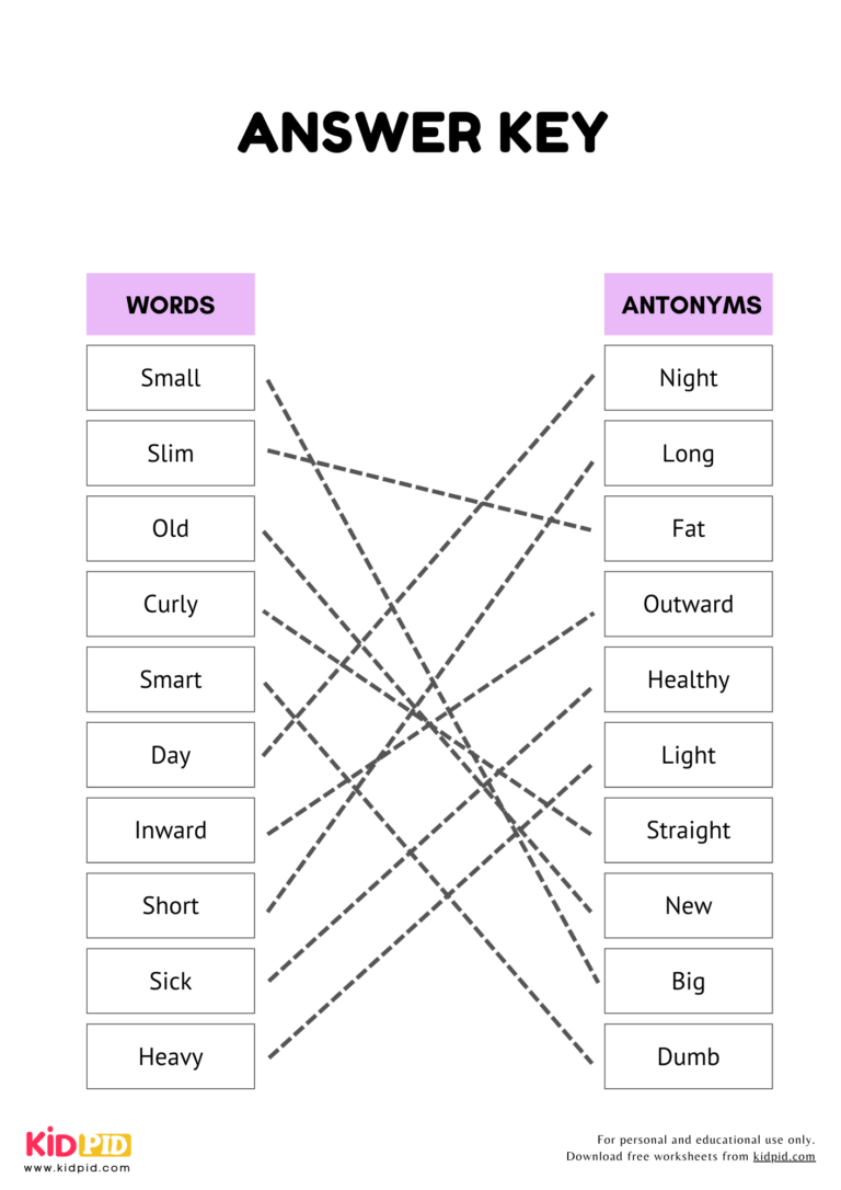 Match The Antonym Words For Grade 1 - Kidpid