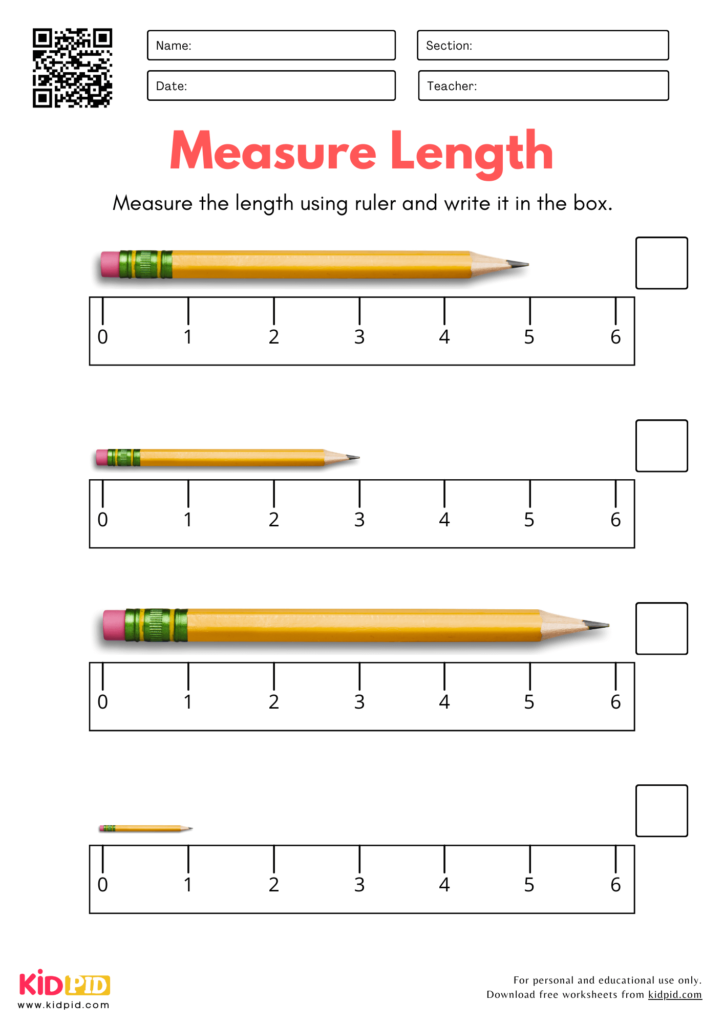 Length and Height Measurement Worksheet for Kindergarten - Kidpid