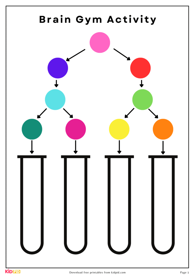 Color Coordination Brain Gym Activity - Kidpid