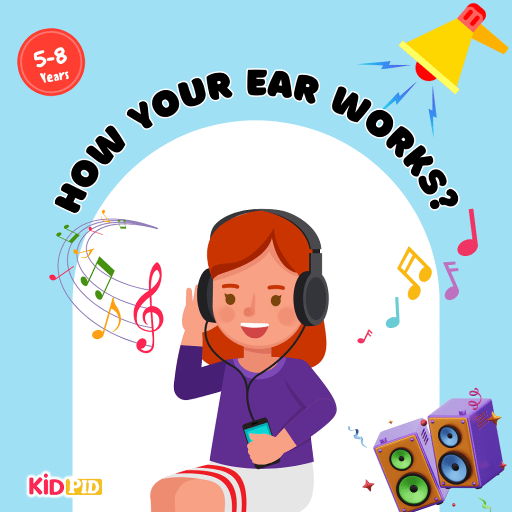 How Your Ear Works - Book for Kids - Kidpid