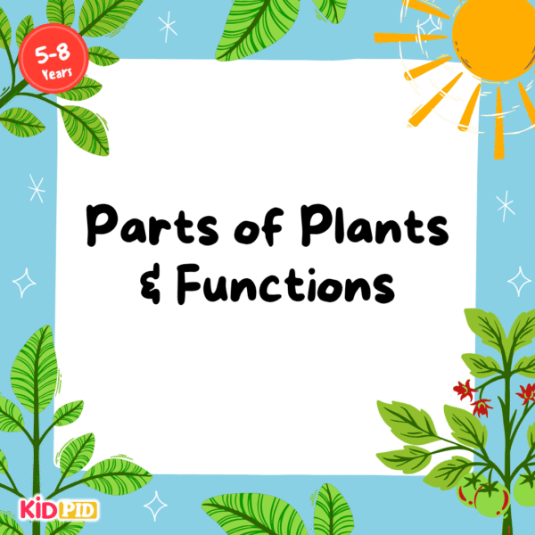 Parts of Plants & Functions - Science Journal - Kidpid