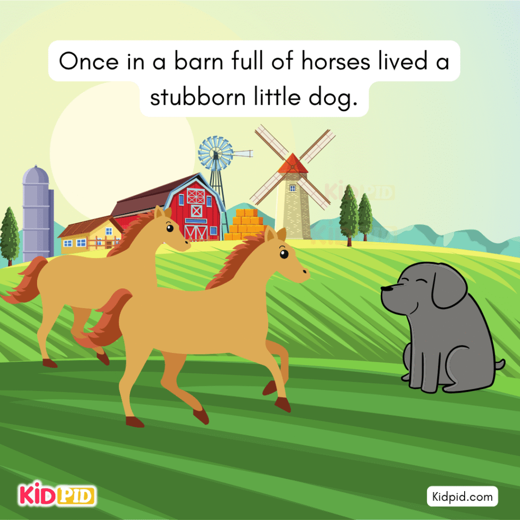 The Stubborn Dog - Short Story Photo Book - Kidpid