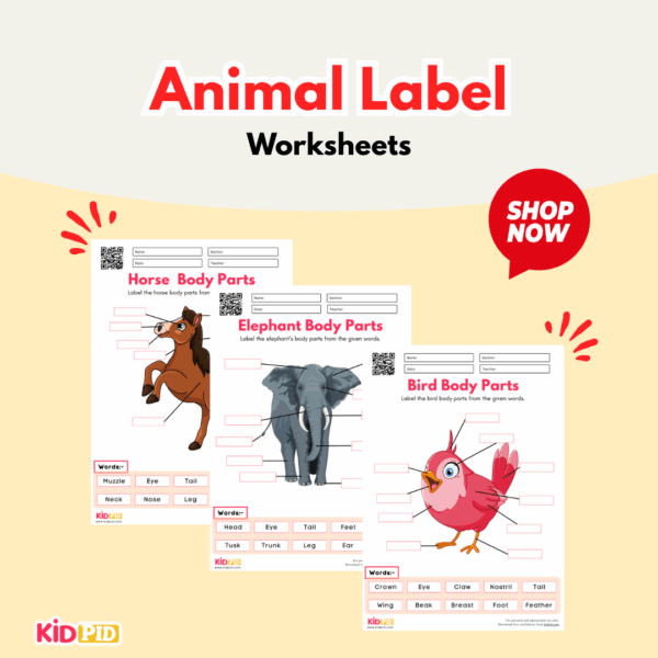 Animal Label Worksheets - Kidpid
