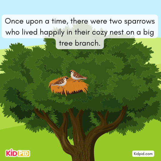 The Weaver Bird’s Nest - Moral Story for Kids - Kidpid